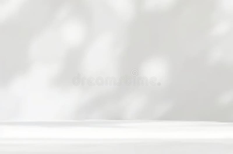 Abstract White Studio Background with Window, Flower, and Palm Leaf ...