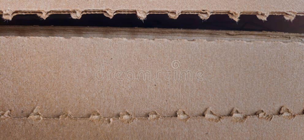Abstract Wide Panoramic Backdrop of an Opened Cardboard Box Package ...