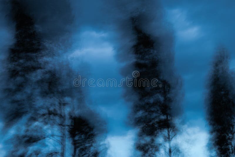 Abstract. the Wind Blows the Trees . Stock Photo - Image of blowing ...