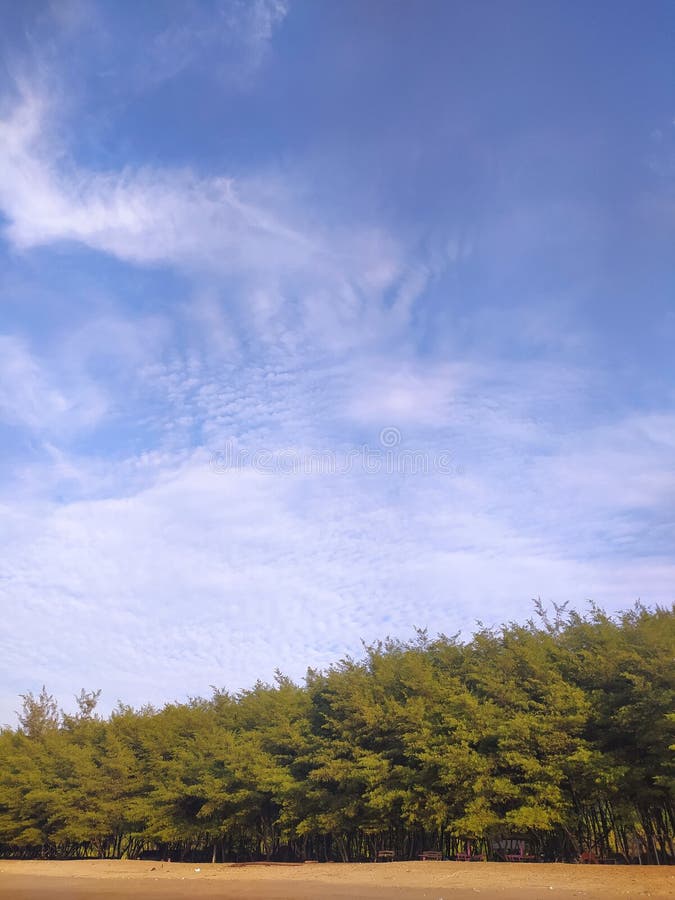 An abstract wind flow stock image. Image of nature, dancing - 266564677