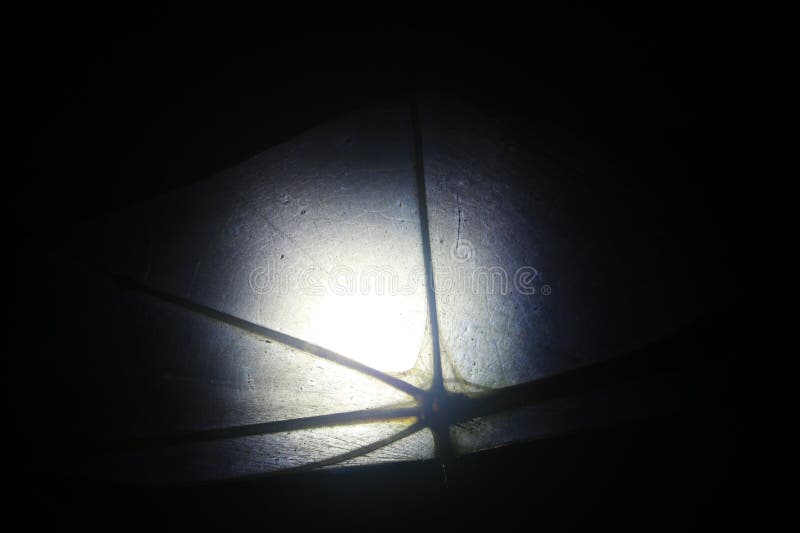 An Abstract of the Wing from a Bat Showing the Veings, Bones and ...