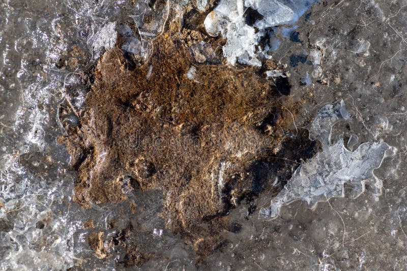 Abstract Winter Background with Natural Ice and Ground Under ...