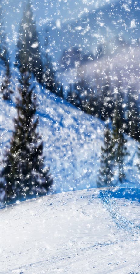 Shiny Snow with Shadow from Trees Stock Image - Image of frozen, shadow ...