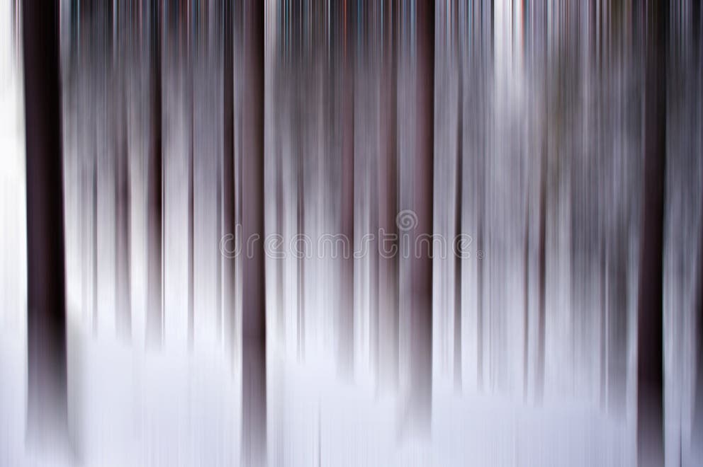 Abstract winter forest stock photo. Image of scenic, motion - 22994236