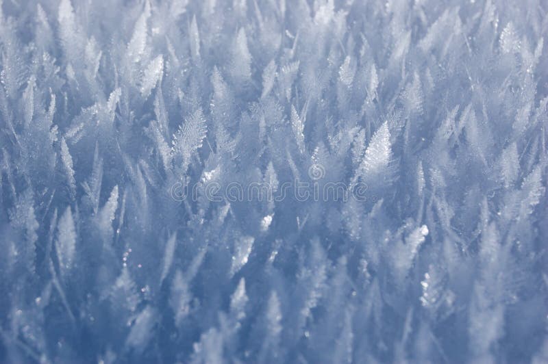 Texture of hoarfrost stock photo. Image of snowy, winter - 101082348