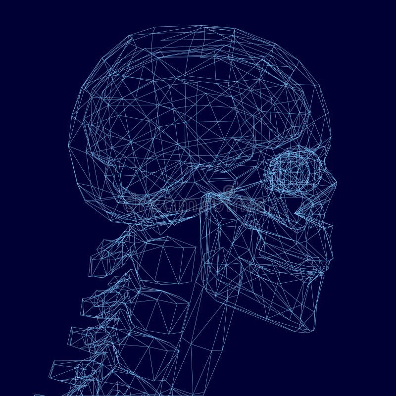 Skull Wireframe Stock Illustrations – 640 Skull Wireframe Stock ...
