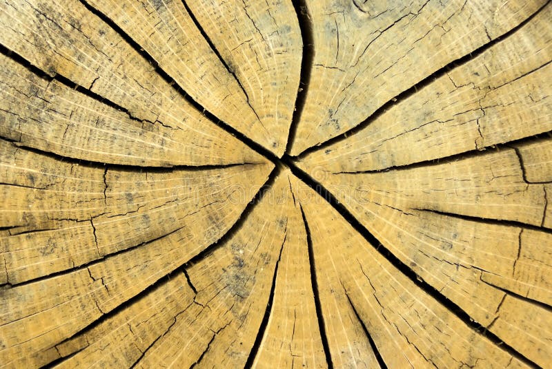 Abstract wood background stock image. Image of plank - 25066867