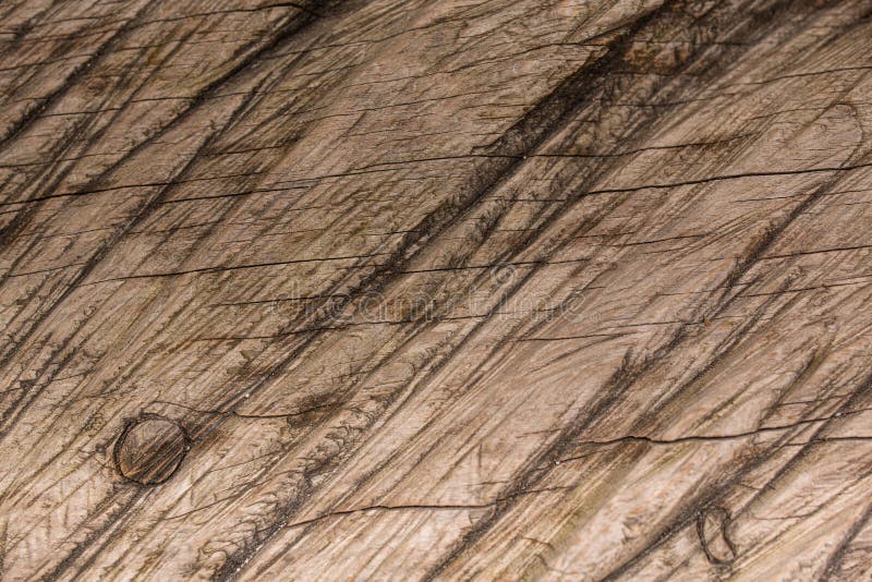 Cutting mat texture stock photo. Image of bulletin, design - 111594980