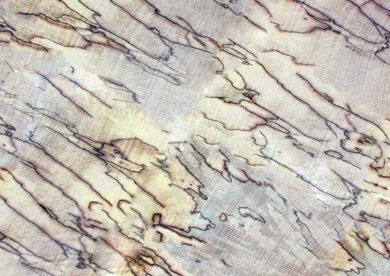 Abstract Wood Table Texture Background. Stock Photo - Image of view ...