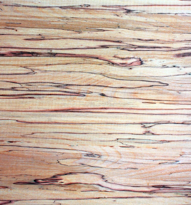 306 Rotten Flooring Photos - Free & Royalty-Free Stock Photos from ...