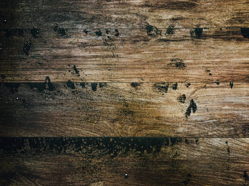 Abstract Wood Texture for Work and Design Stock Image - Image of panel ...