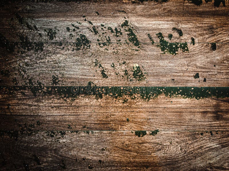 Abstract Wood Texture for Work and Design Stock Image - Image of blank ...