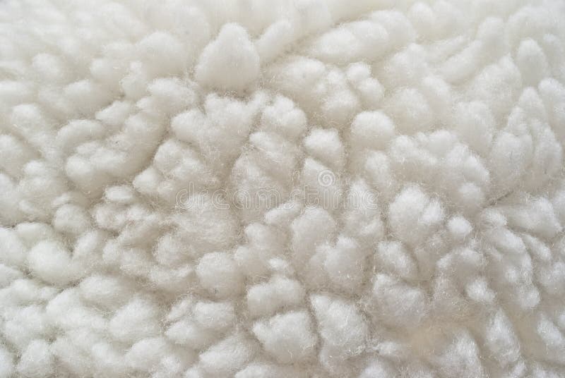 Wool Texture