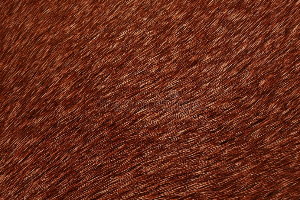 Abstract Wool Textures & Patterns Reddish Brown for Background Stock ...