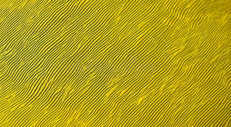 Yellow Background, Yellow Texture Background, Ultra Hd Yellow Wallpaper ...