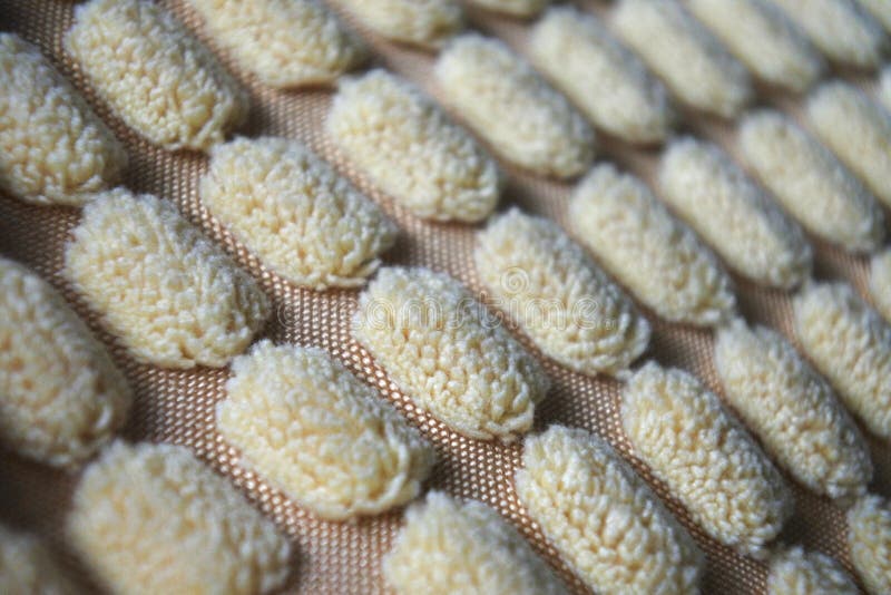 Abstract Yellow Fluffy Surface Background Stock Photo - Image of ...