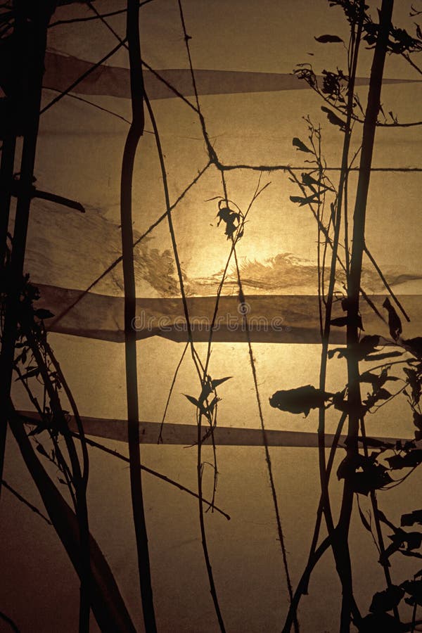 Writing Shadow Mist Stock Photos - Free & Royalty-Free Stock Photos ...