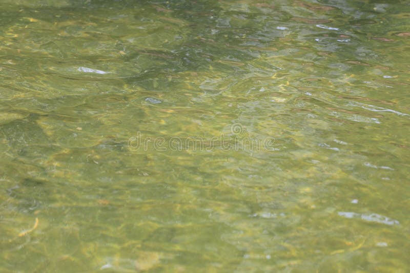 Abstract Yellow Water in Pond. Stock Image - Image of ripple, yellow ...