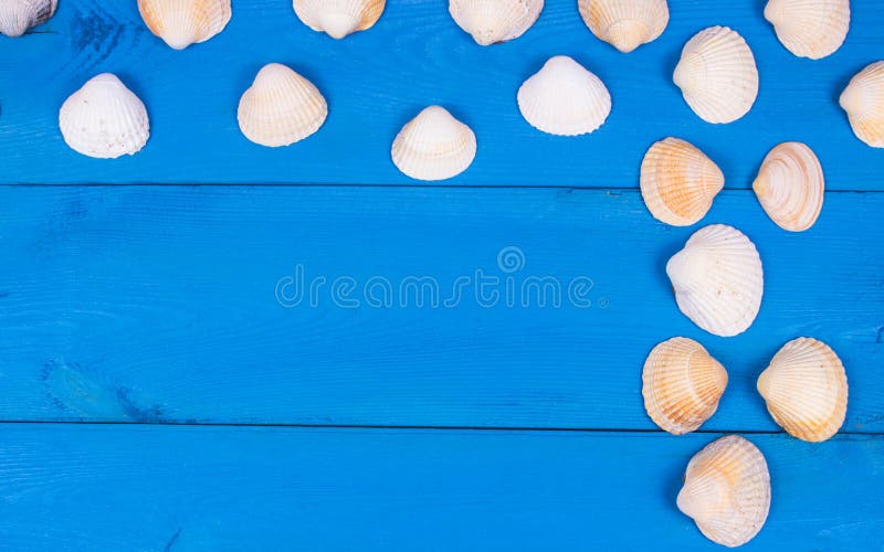 Abstraction - Background with Shells. Space for the Inscription. Stock ...