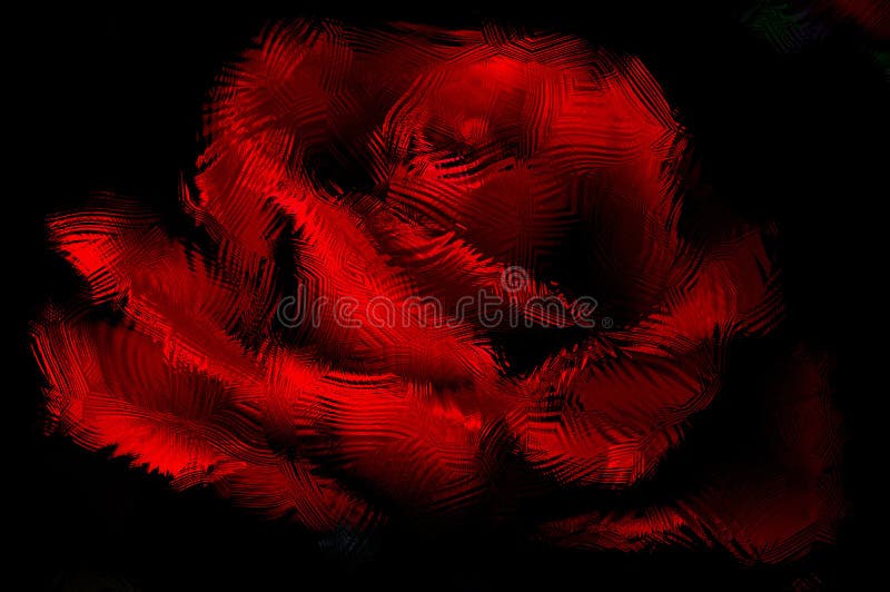 Abstraction Curves Pattern Red Rose Black Stock Photo - Image of ...