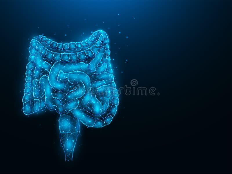 Abstraction Polygonal Vector Illustration of the Intestines on a Dark ...