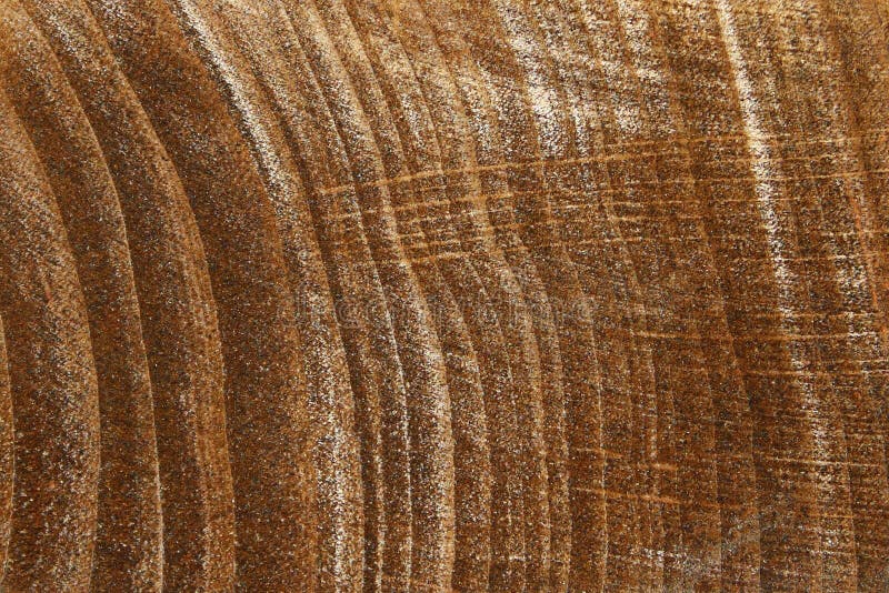 Abstraction the Theme of Tree Rings or Sand Stains Stock Image - Image ...
