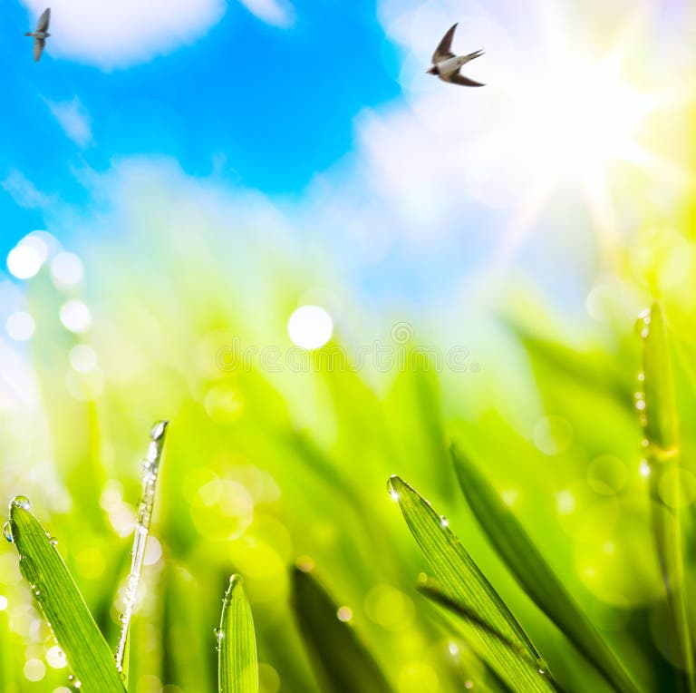 Abstracts Spring Background Stock Image - Image of effect, park: 37782059