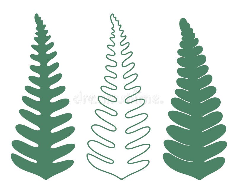 Farn vektor abbildung. Illustration von auslegung, adlerfarn - 57941287