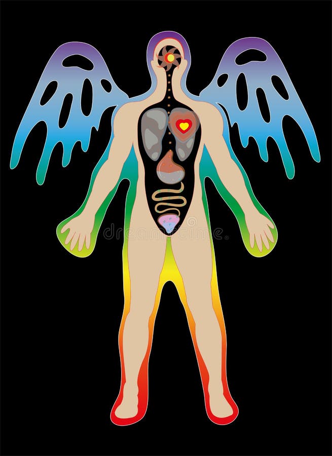 Winged People Anatomy