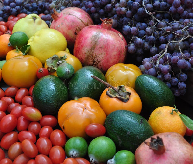 Abundance of autumn fruits stock photo. Image of quinces - 80030748