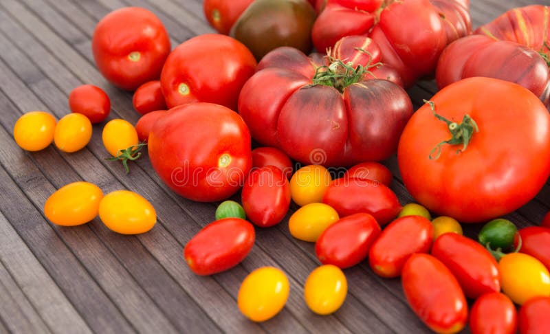 Different Varieties of Ripe Red and Yellow Appetizing Tomatoes Stock ...