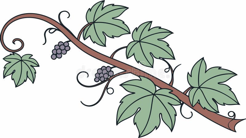 Abundant Grapevine Branch with Ripe Fruit Clusters, Vector Design ...