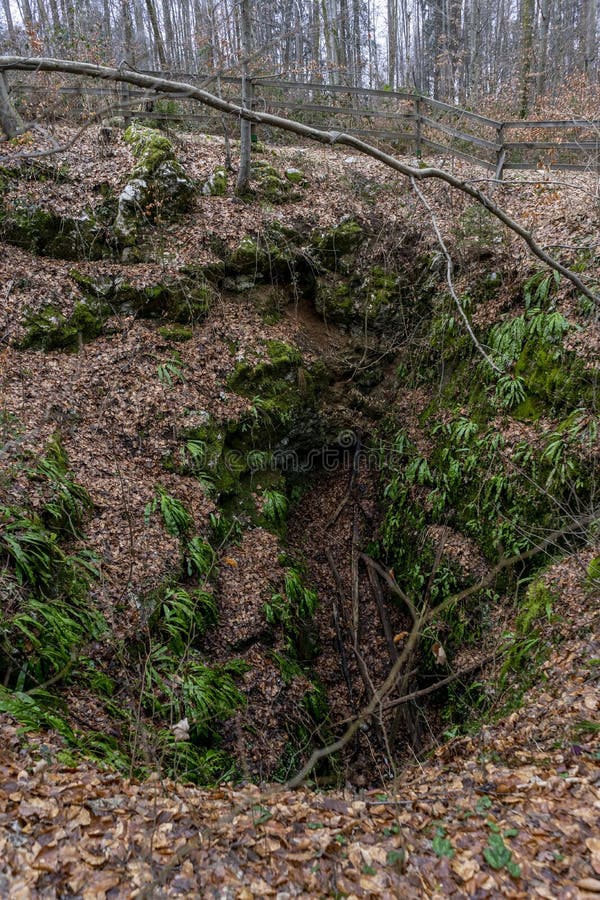 Abyss in the forest stock photo. Image of environment - 234357706