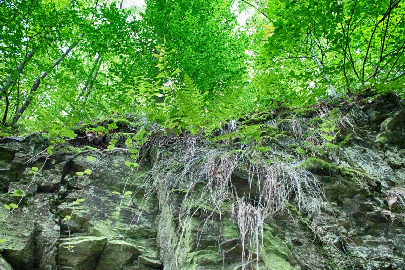 Abyss stock photo. Image of abyss, environment, travel - 76566862