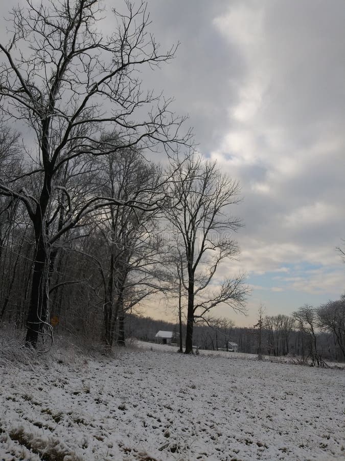 Abyss stock image. Image of abyss, snow, landscape, tree - 167416297