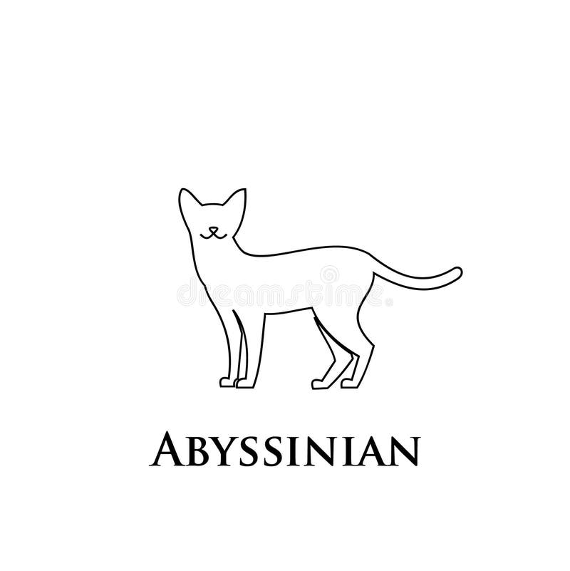 Abyssinian cat logo icon stock vector. Illustration of company - 130483879