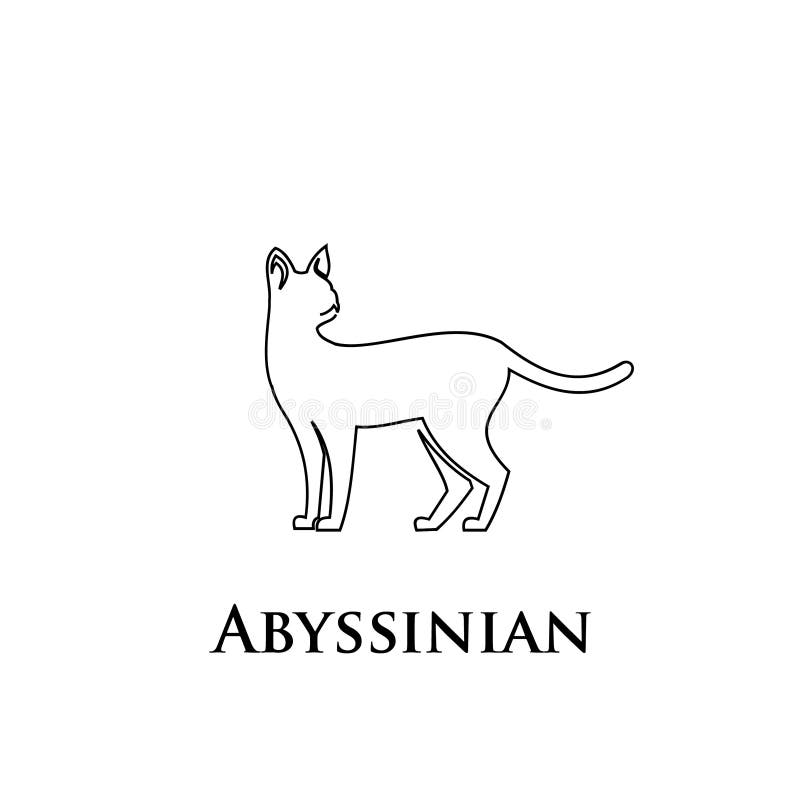 Abyssinian cat logo icon stock vector. Illustration of company - 130483879