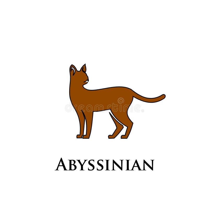 Abyssinian cat logo icon stock vector. Illustration of company - 130483879