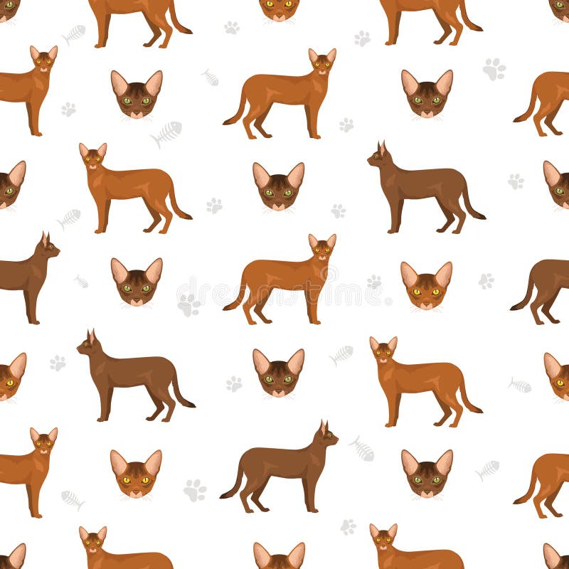 Ruddy Colour Stock Illustrations – 26 Ruddy Colour Stock Illustrations ...