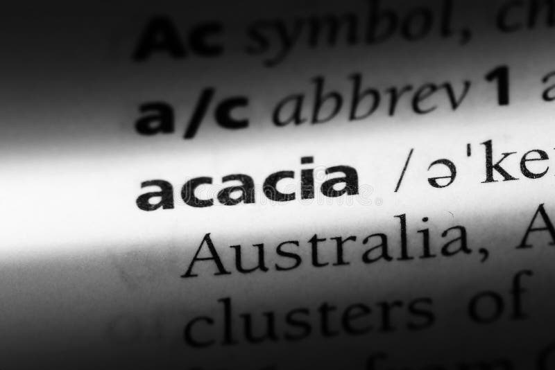 Acacia stock image. Image of dictionary, closeup, writing - 114407945
