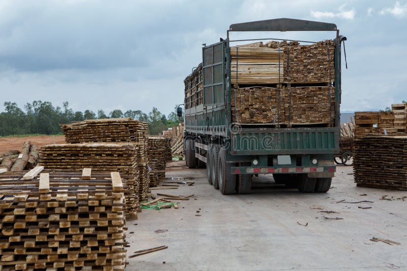 Acacia timber raw material stock image. Image of timberyard - 100924027