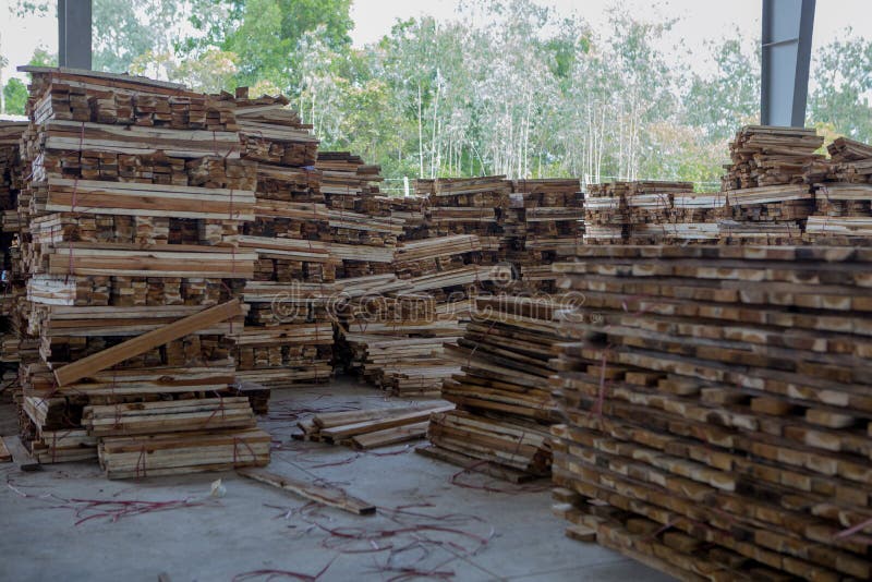 Acacia Timber Log Raw Material Stock Image - Image of trunk, firewood ...