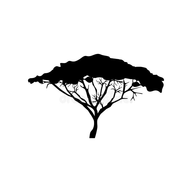 African Tree Icon, Acacia Tree Silhouette, Vector Isolated Stock Vector ...