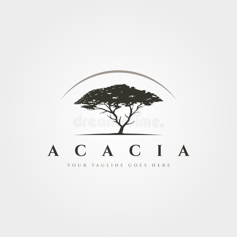 Acacia Tree Logo Vintage Vector Symbol Illustration Design, Old Tree ...