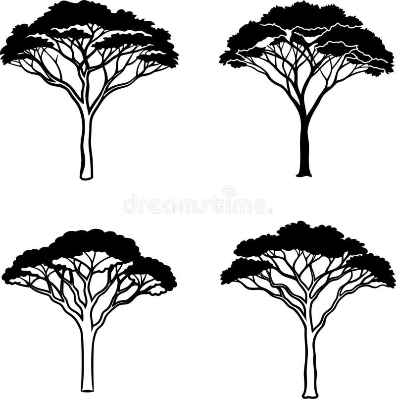 Acacia Tree Silhouette Vector Illustration Stock Vector - Illustration ...