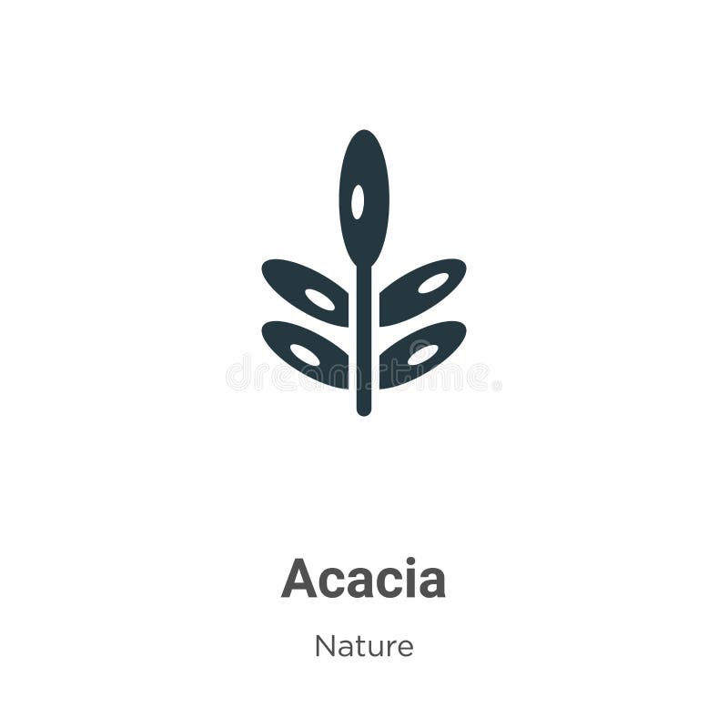 Acacia Vector Icon on White Background. Flat Vector Acacia Icon Symbol ...