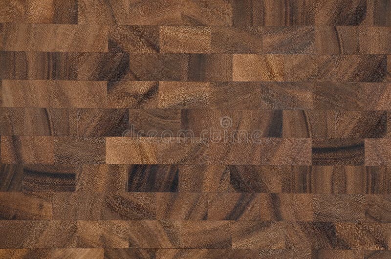Acacia wood stock photo. Image of acacia, wood, texture - 13868714