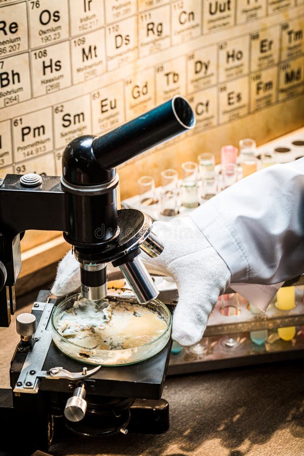 Laboratory with Microscope and Sample. Practical Chemistry Classes ...