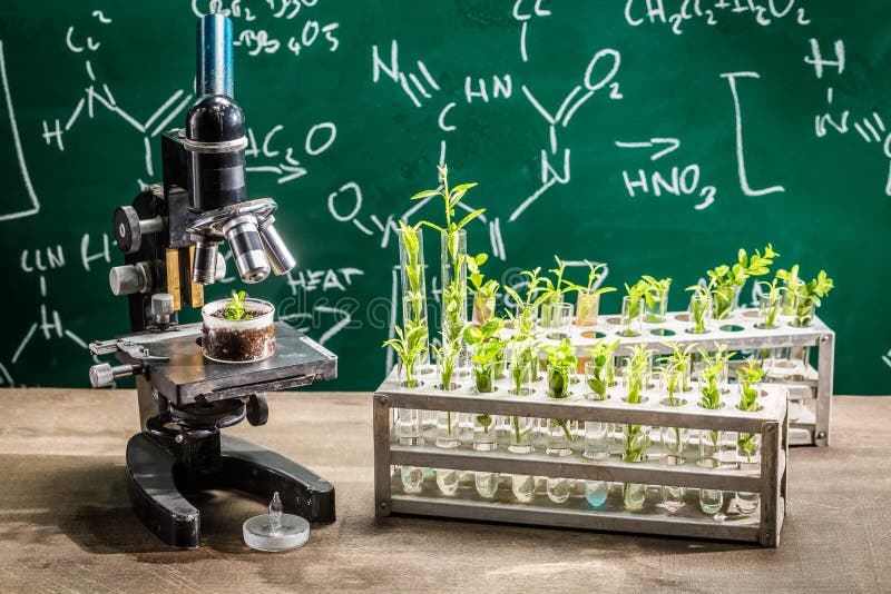 University Lab Study Growing Plants Stock Photos - Free & Royalty-Free ...