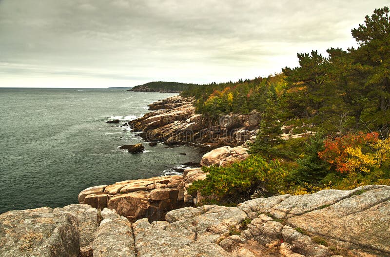 Acadia National Park Shoreline Foliage Stock Image - Image of trees ...